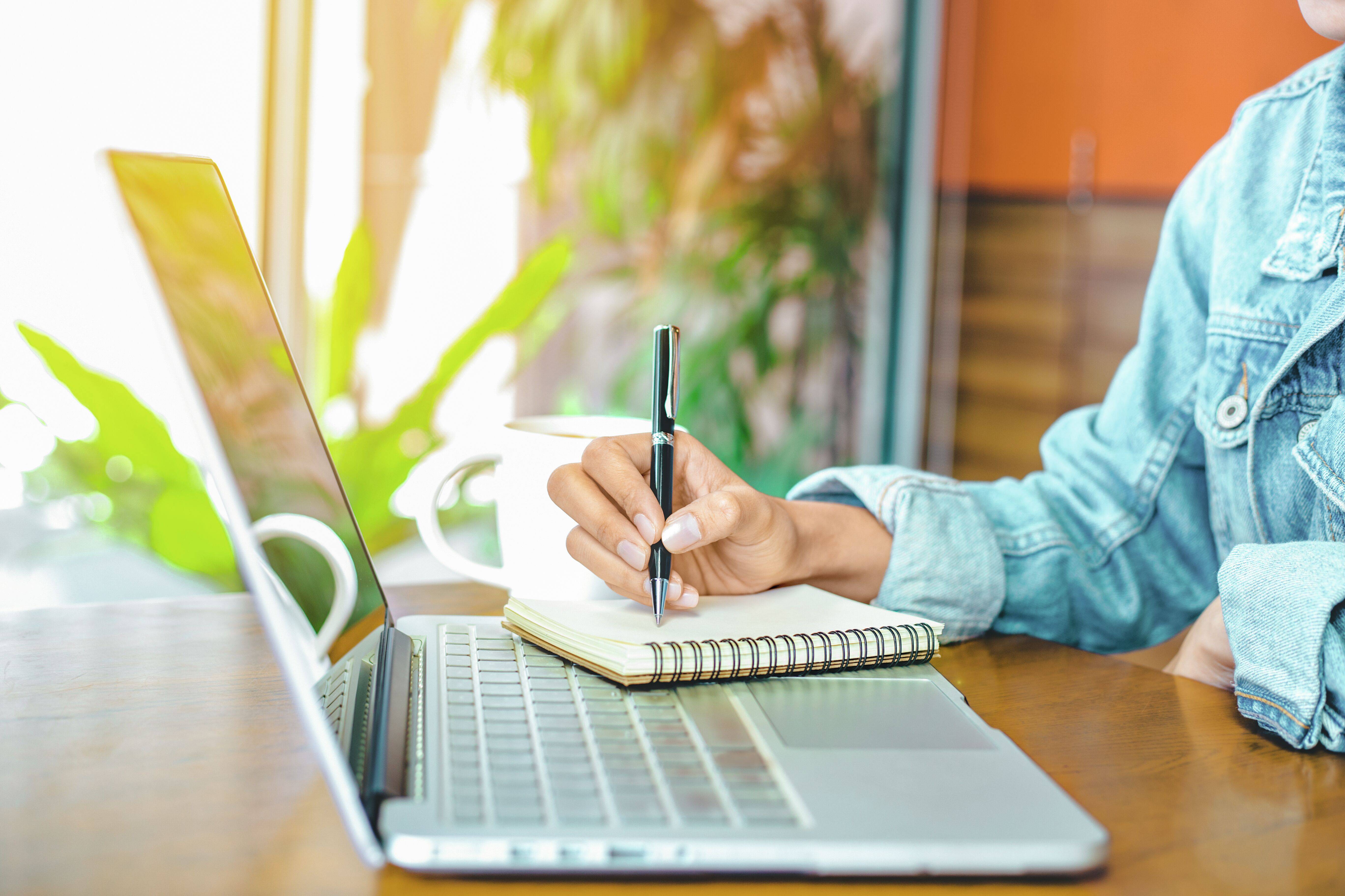 Virtuelle Einblicke hinter die Kulissen: Digitale Hospitationswochen in ...